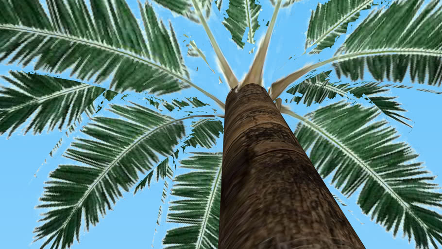 coconut tree | 3D Warehouse