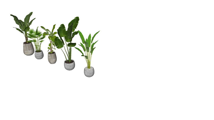 POTS PLANT (1).skp | 3D Warehouse