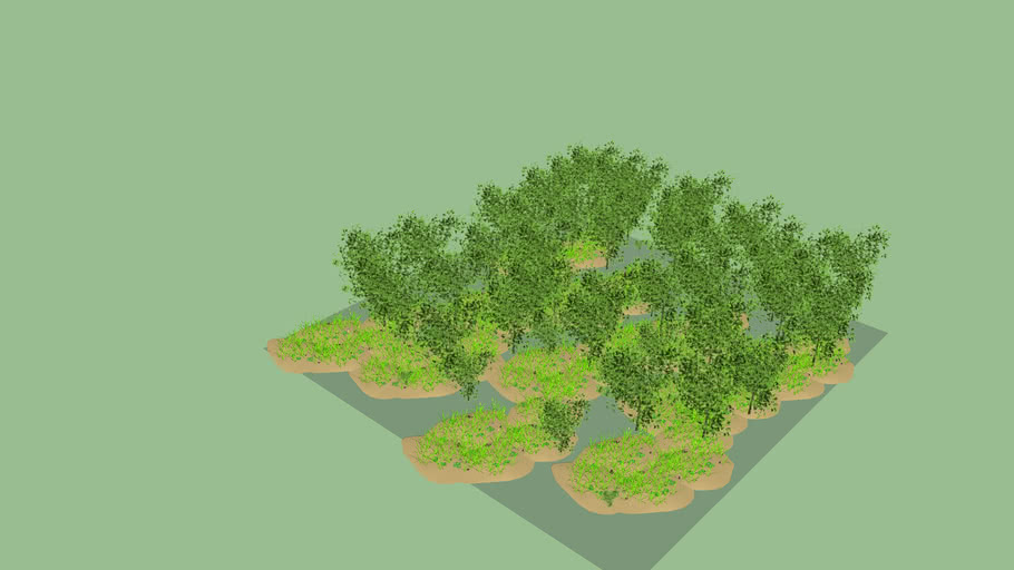 Forest 1 | 3D Warehouse
