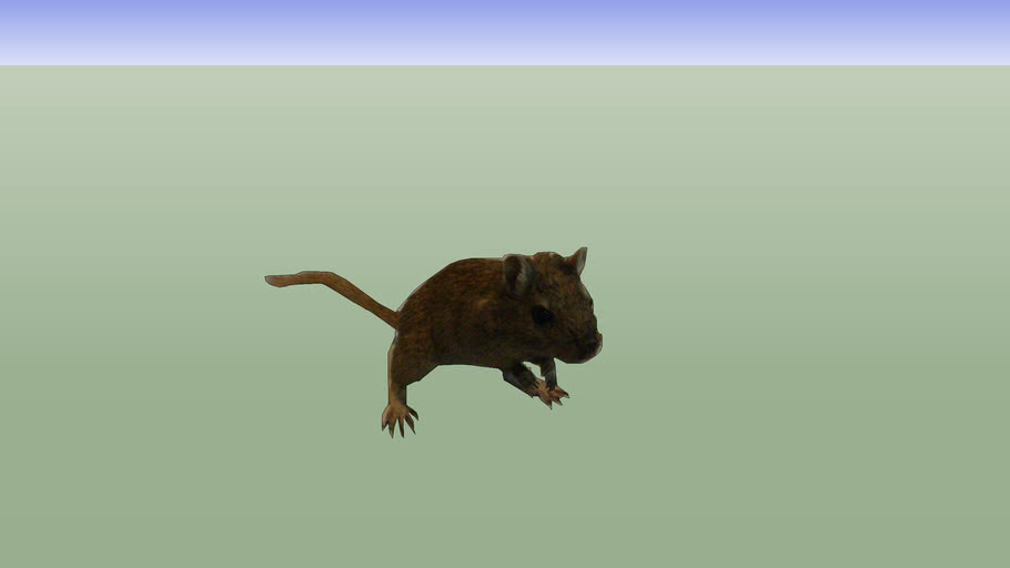 gerbil | 3D Warehouse