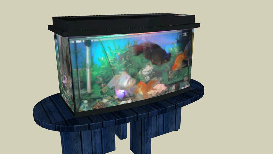 Akwarium - Aquarium | 3D Warehouse