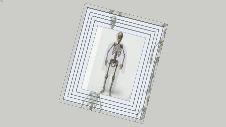 jaron skeleton | 3D Warehouse