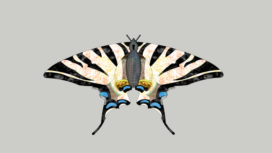 3D Butterfly 5 | 3D Warehouse