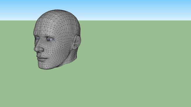 head | 3D Warehouse