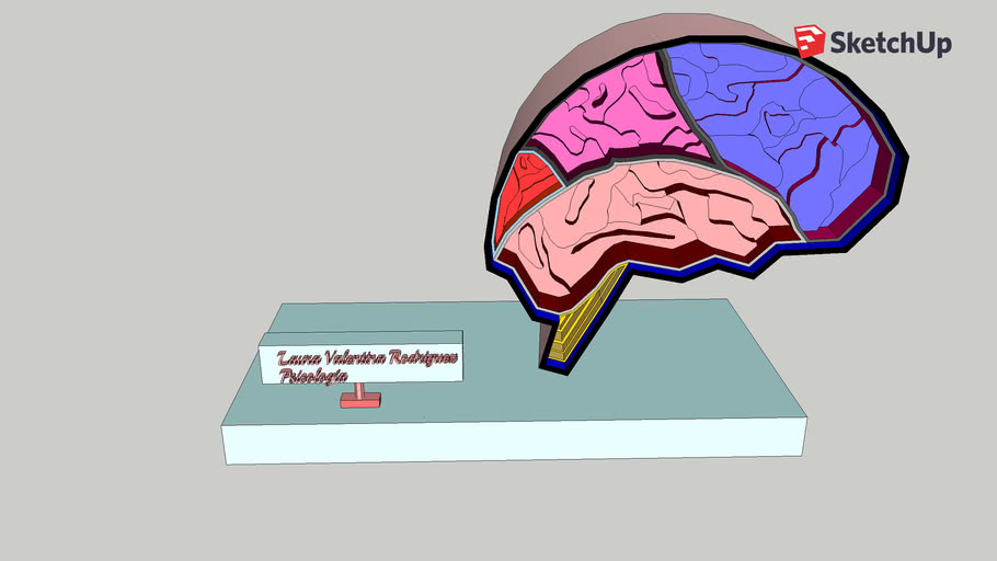 Psicologia | 3D Warehouse