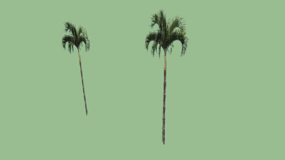 Palm tree | 3D Warehouse