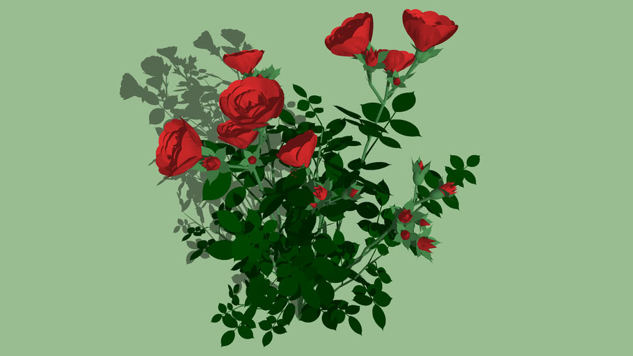 rose plant00 | 3D Warehouse