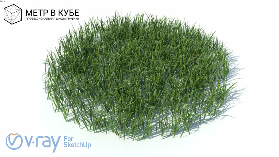 Grass High Poly 1 | 3D Warehouse