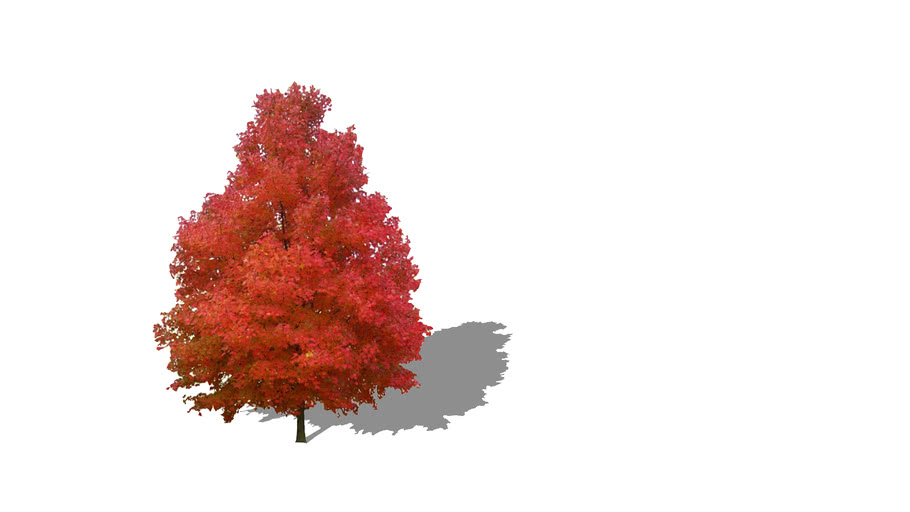 MapleTree | 3D Warehouse