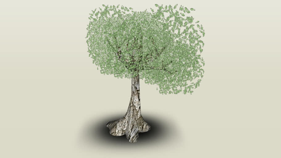 Simple 3D Tree | 3D Warehouse