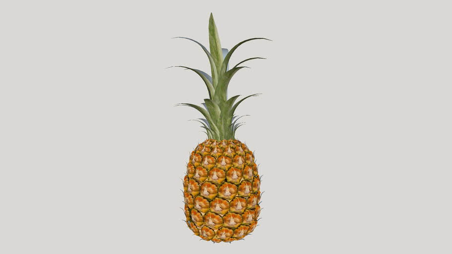 Ananas Pineapple | 3D Warehouse