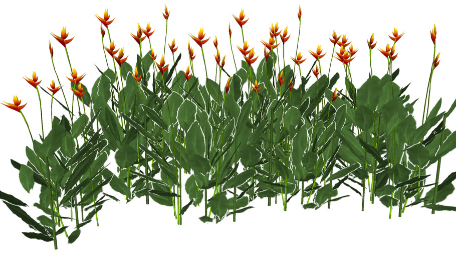 Vegetación | 3D Warehouse