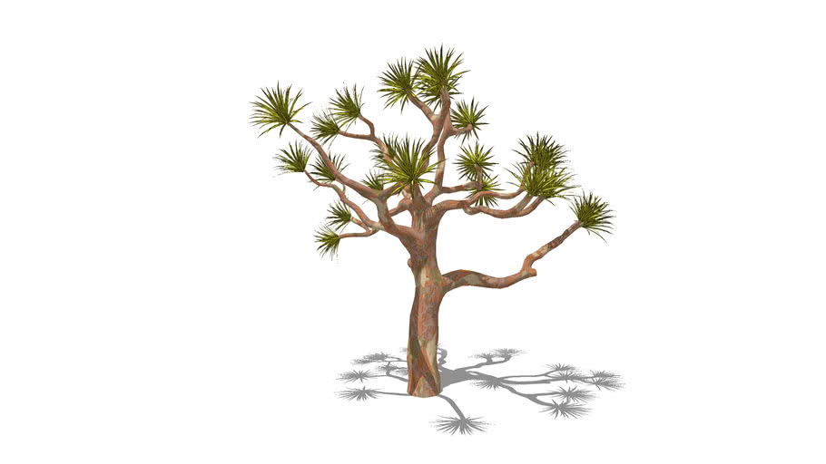 Joshua Tree | 3D Warehouse