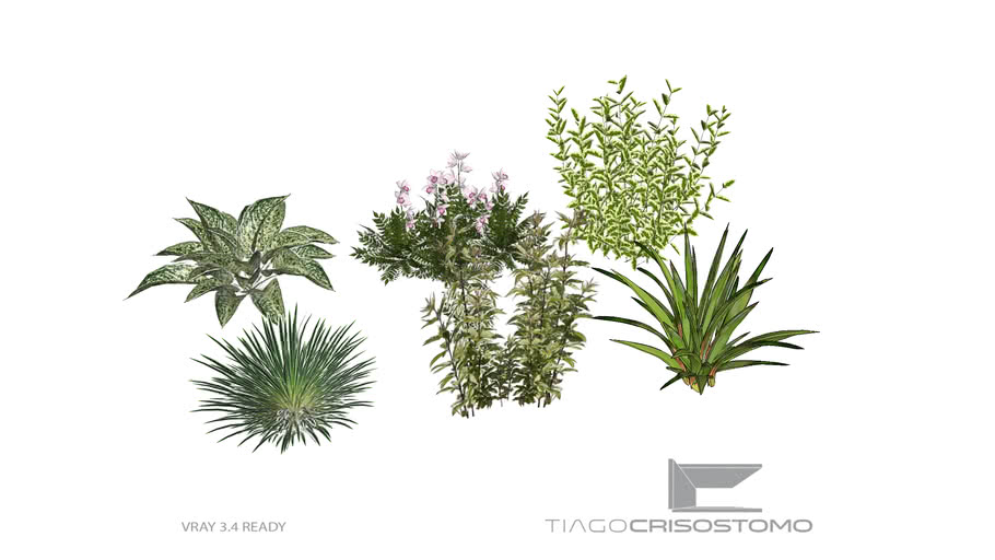 Vegetación exterior | 3D Warehouse