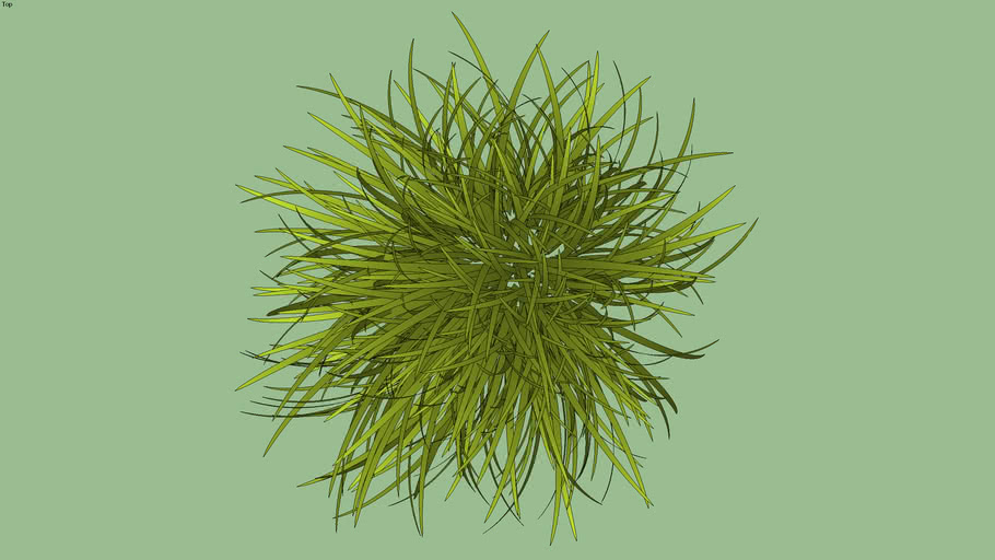 bush - arbusto 2 | 3D Warehouse