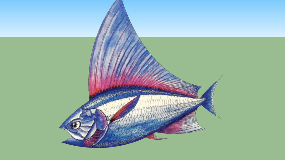 2d fish | 3D Warehouse