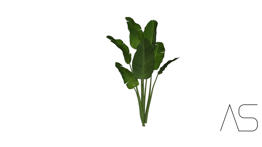 Vegetación | 3D Warehouse