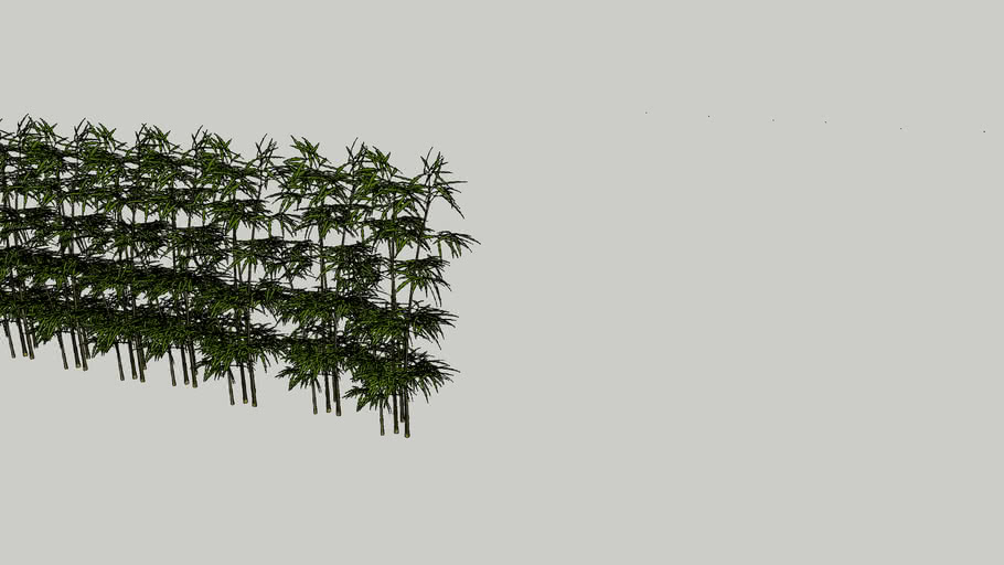 Bambú | 3D Warehouse