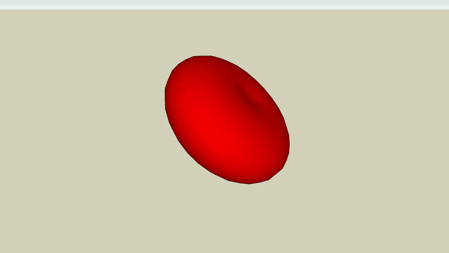 red blood cell | 3D Warehouse