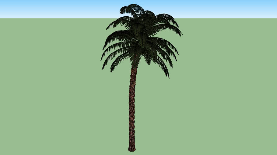 palmera 2015 | 3D Warehouse