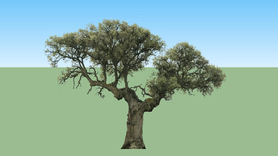 Pohon Kering 06 | 3D Warehouse