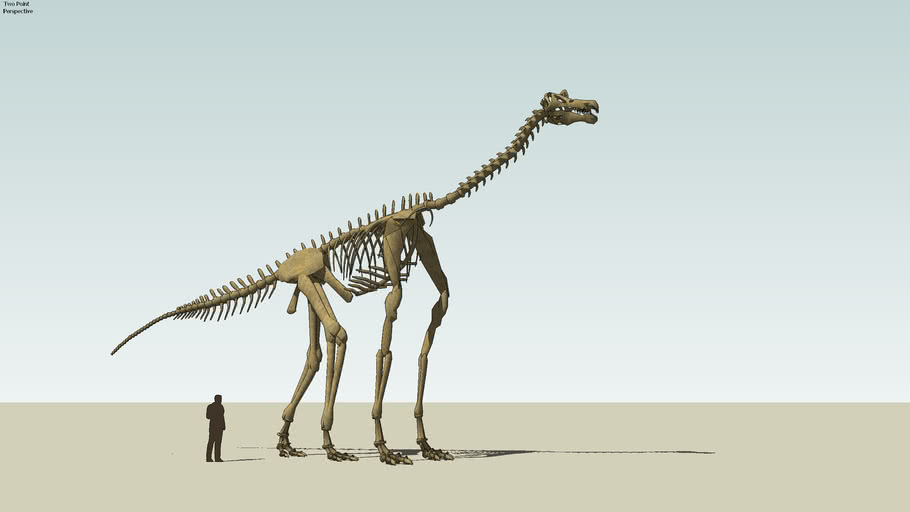 Atlasaurus imlakei, dinosauro, dinosaur, scheletro, skeleton, bone | 3D ...