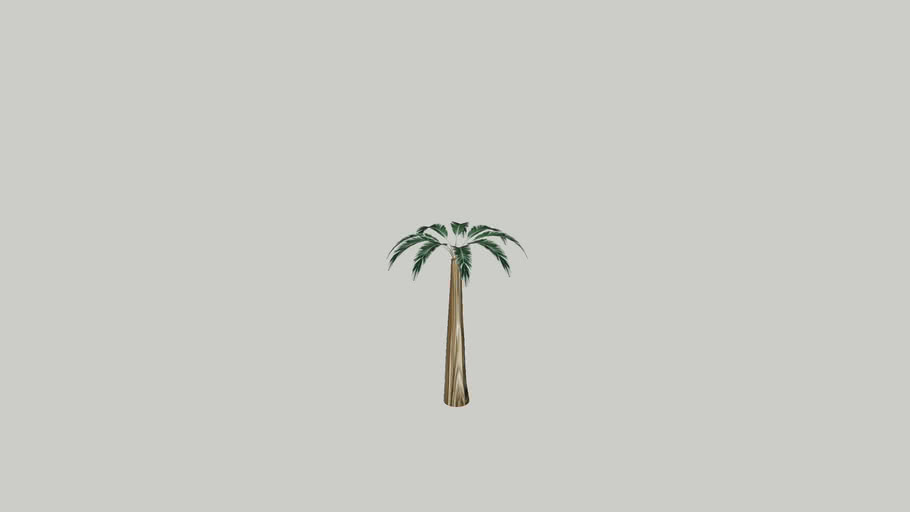 coconut tree | 3D Warehouse