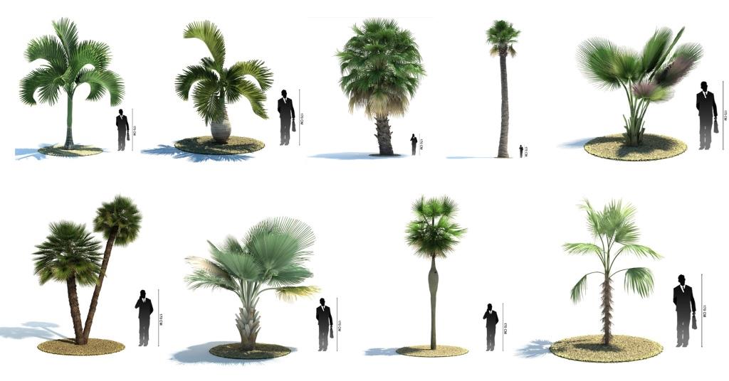 Plantas e vegetações ( Vray Ready ) | 3D Warehouse