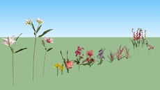 Flower | 3D Warehouse