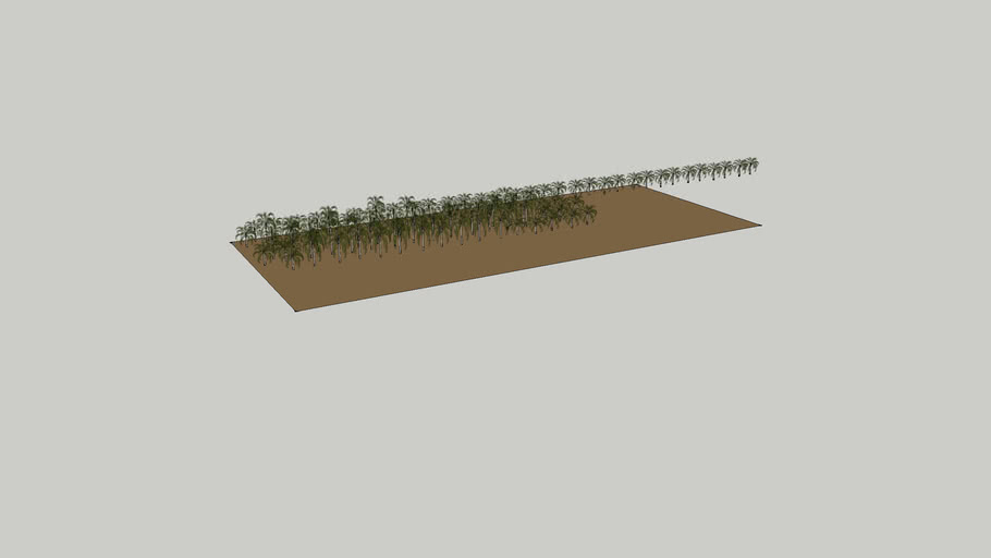 pokok kelapa | 3D Warehouse