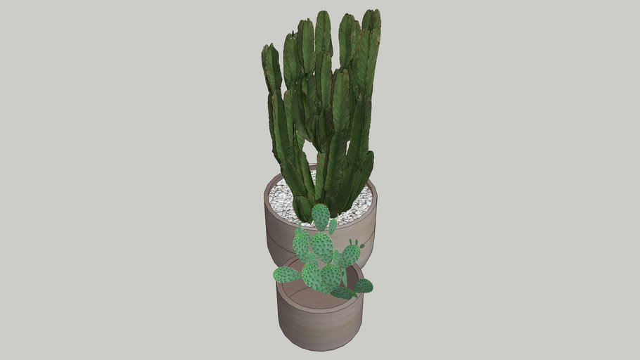 Cactus pots | 3D Warehouse
