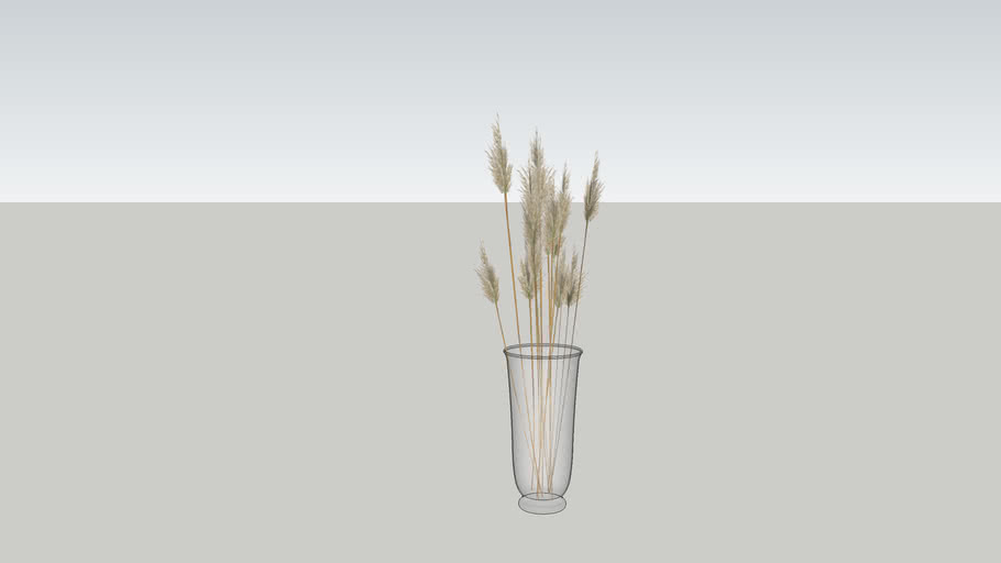 ornamental grass | 3D Warehouse
