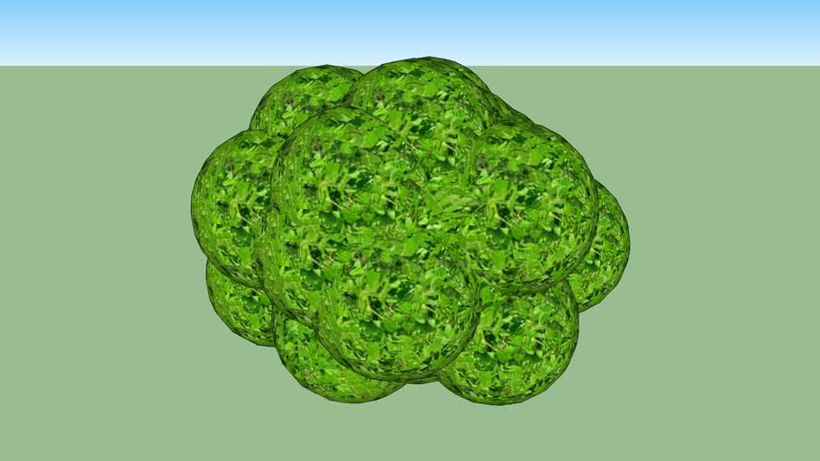 simple bush | 3D Warehouse