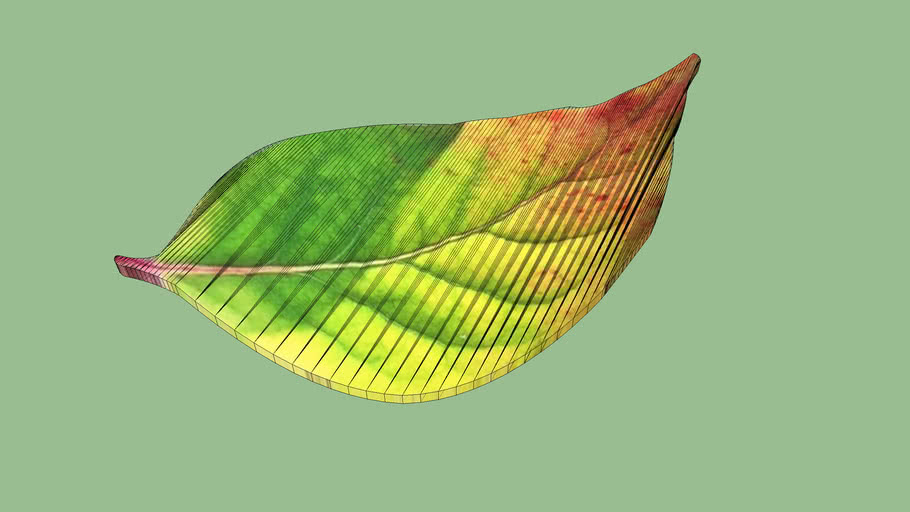 Leaf shape show piece | 3D Warehouse