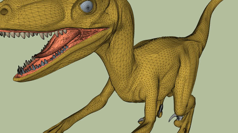 Raptor | 3D Warehouse