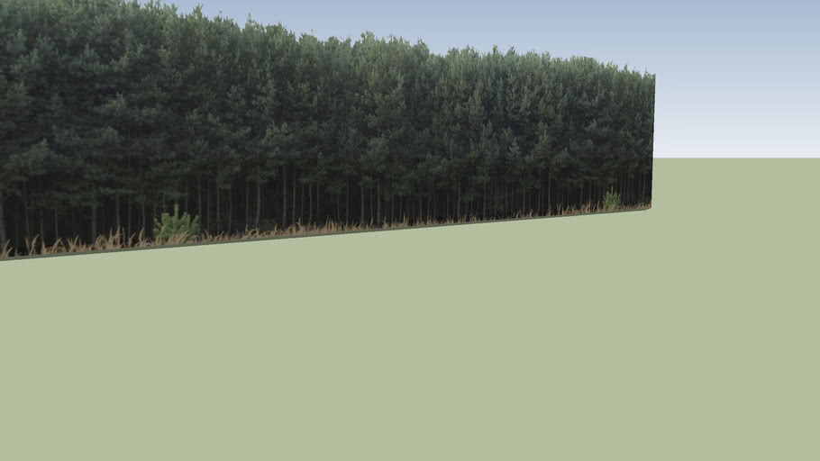 trees | 3D Warehouse