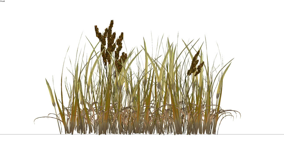 grass 1 | 3D Warehouse