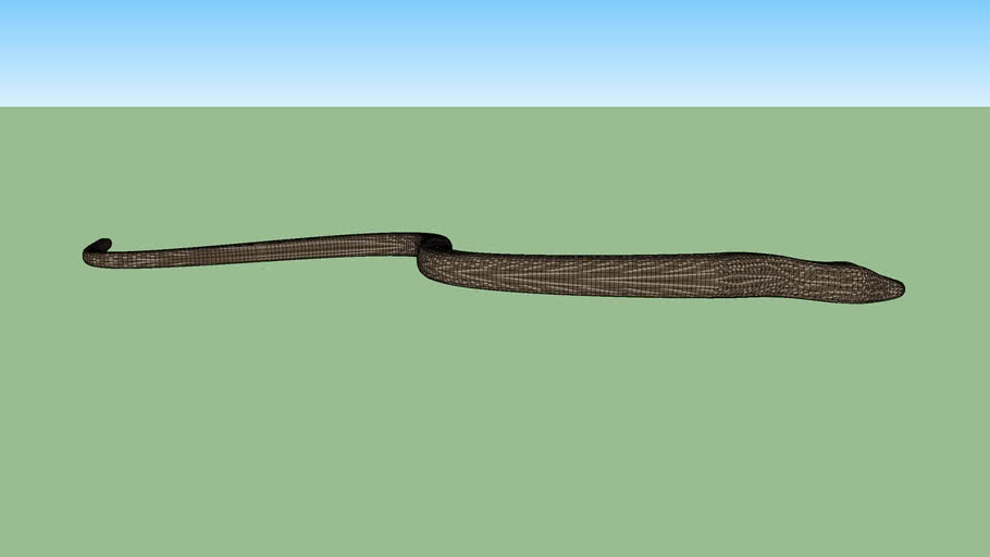 snake | 3D Warehouse