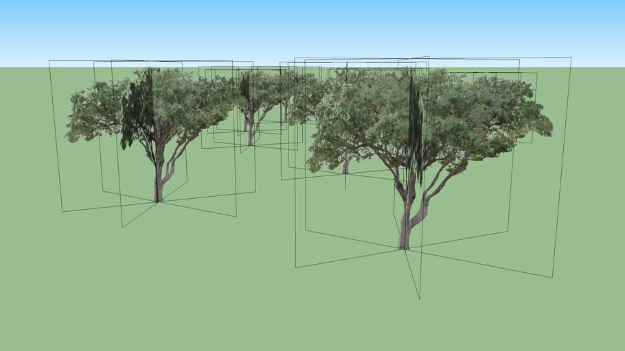 dek tree | 3D Warehouse