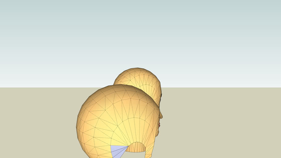 head | 3D Warehouse
