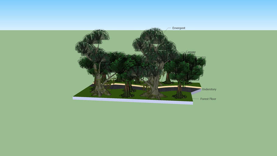 Rainforest | 3D Warehouse