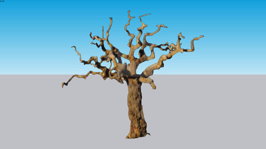 Old Dead Gnarled Tree | 3D Warehouse