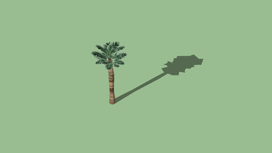 coconut tree | 3D Warehouse