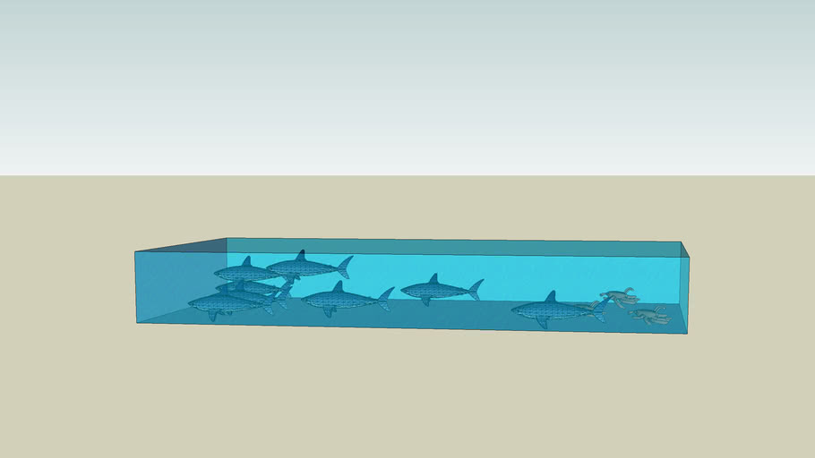 Fish Tank | 3D Warehouse