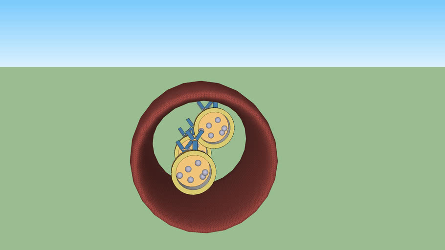 Vesicles with Antibody in blood vessel | 3D Warehouse