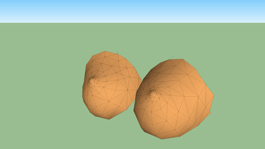 anatomia del seno | 3D Warehouse