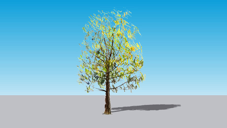 pastel-sugar-maple | 3D Warehouse