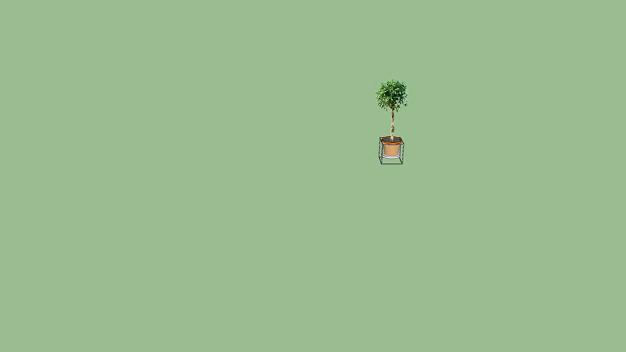 topiary | 3D Warehouse