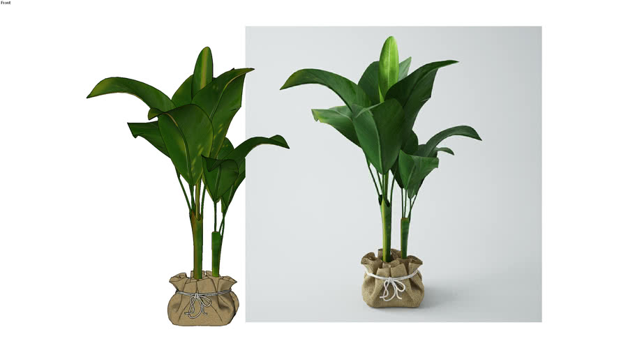 Vegetación/Exterior | 3D Warehouse