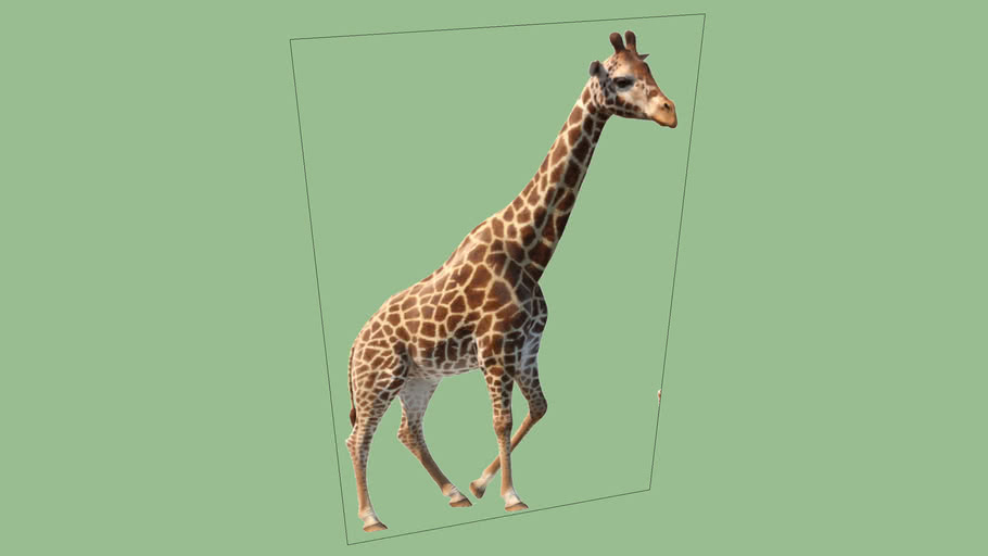 2d_giraffe | 3D Warehouse